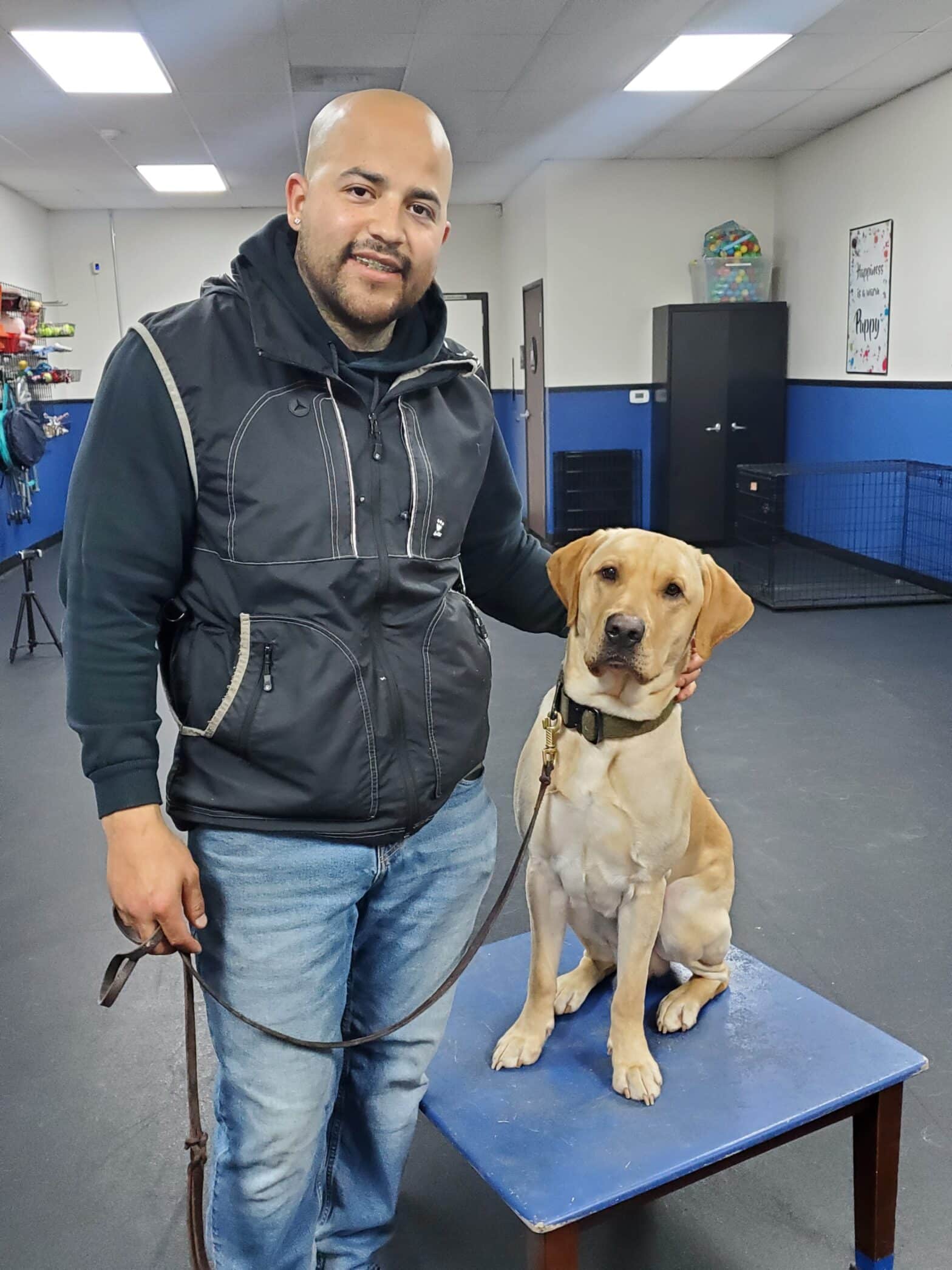 Fully Trained Service Dogs Sacramento - All Stage Canine Development