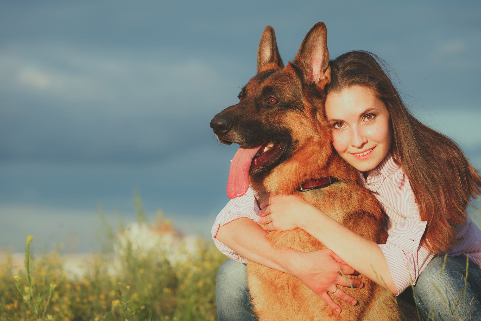 What is The Best Breed for a Diabetic Alert Dog? - All Stage Canine ...