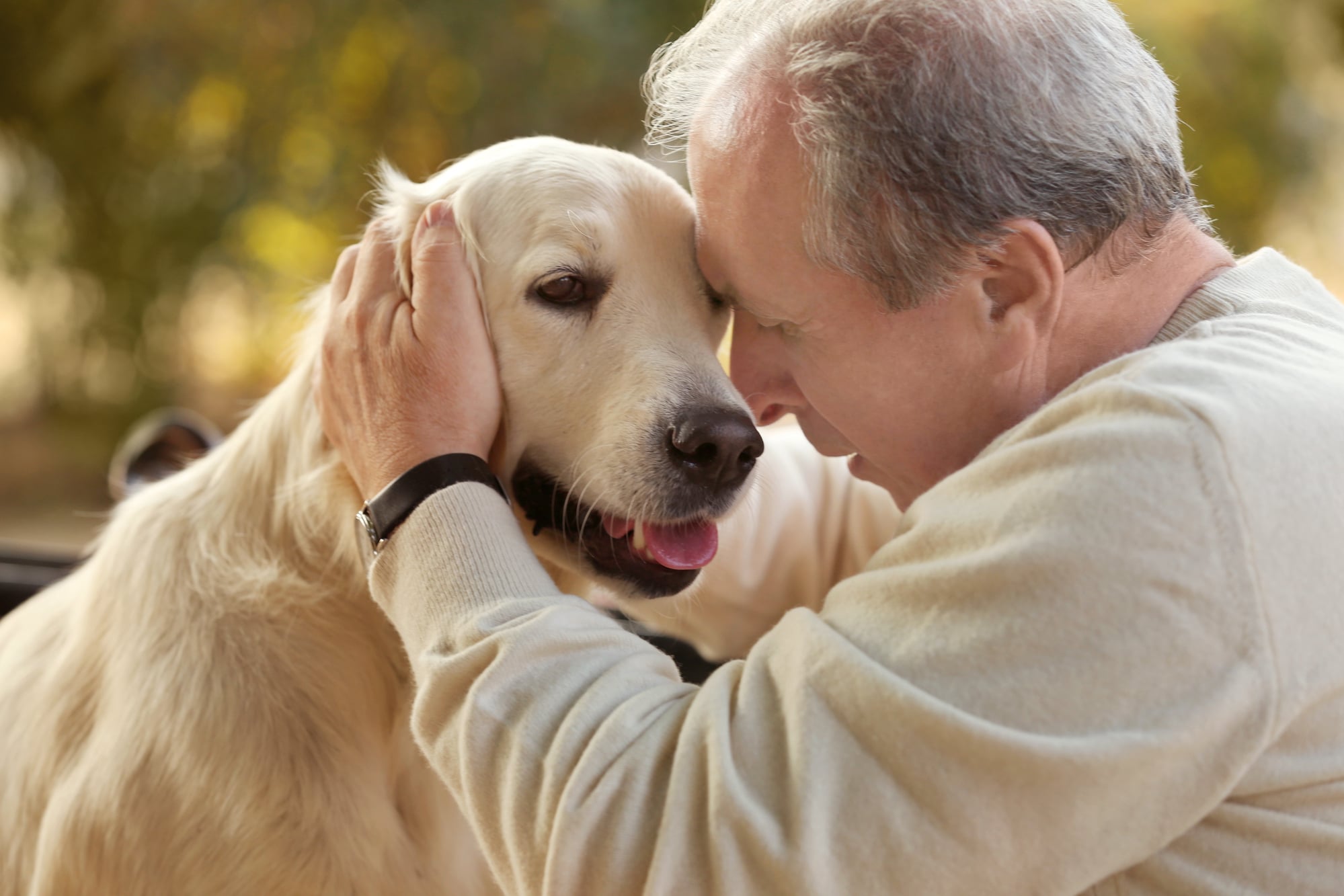How Effective are Trained Dogs at Alerting Their Owners to Changes in ...
