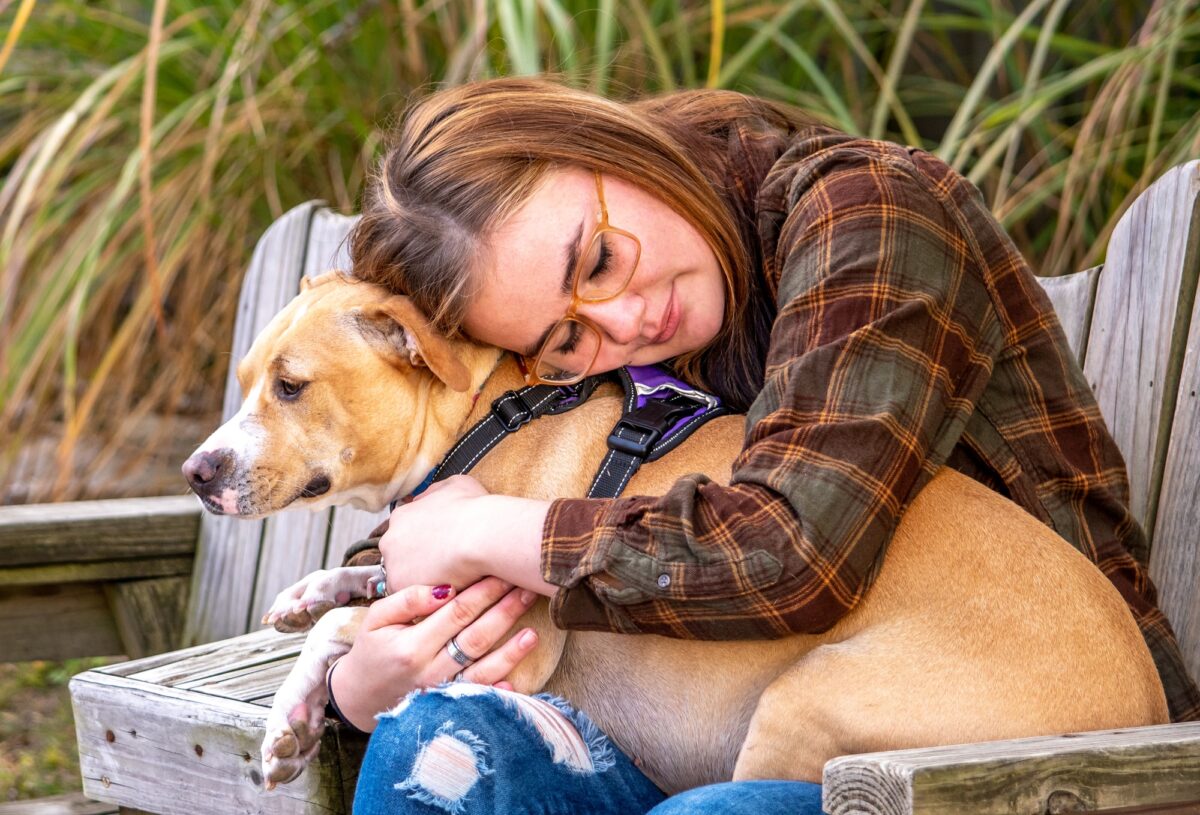 How Do you Qualify For a Diabetic Alert Dog? - All Stage Canine Development