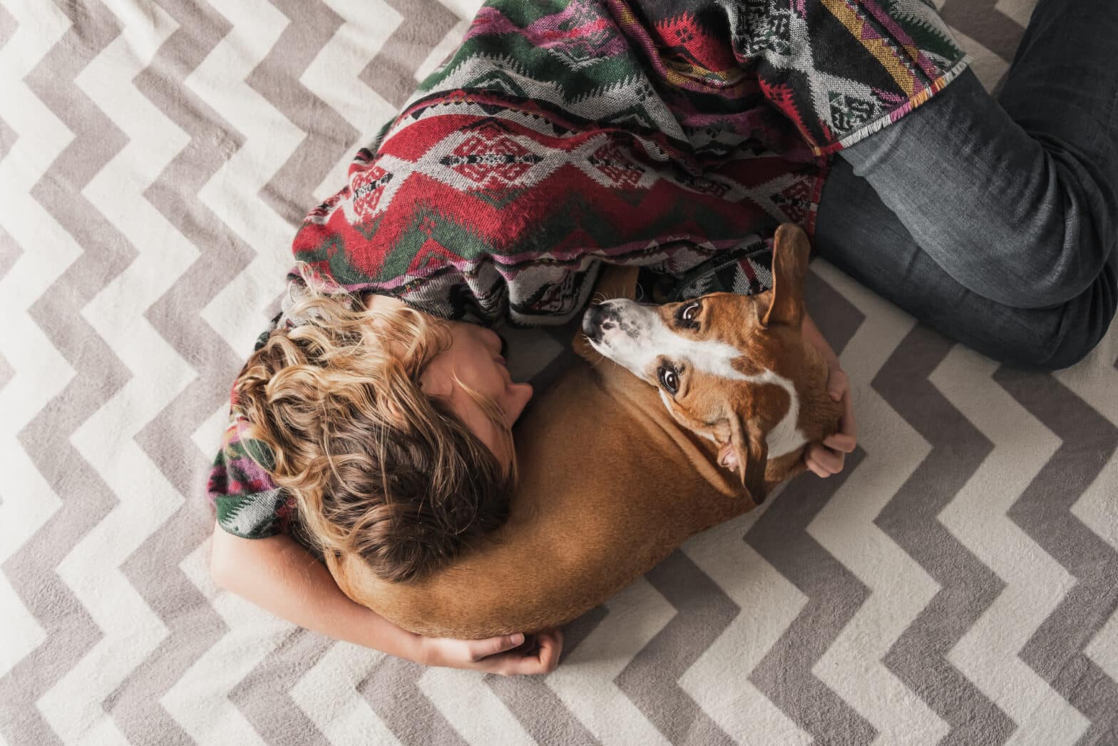 Dog Breeds Well Suited for People with Multiple Sclerosis (MS) - All ...
